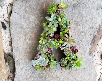 Succulent letter | Etsy