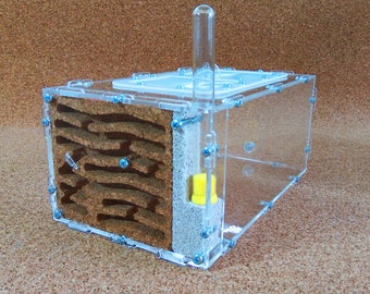 Ant formicarium | Etsy