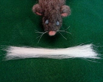 Rabbit whiskers | Etsy