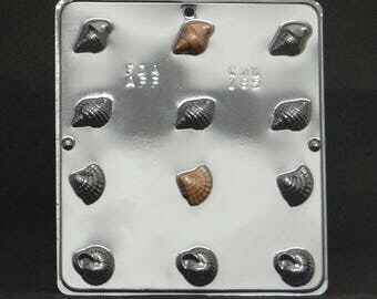 Chocolate seashells | Etsy