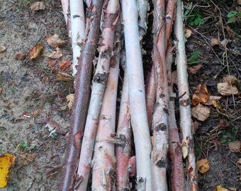 20 white birch sticks. Wood Logs. Wedding birch decor. White