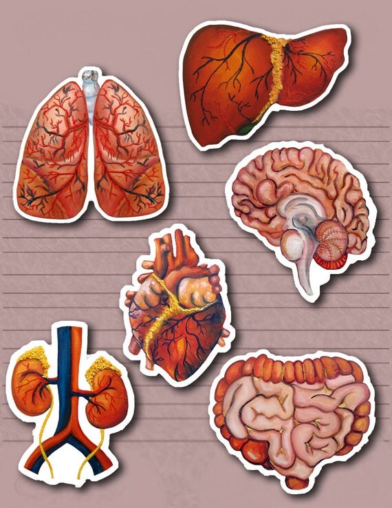 Organ Stickers