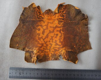 Exotic leather | Etsy