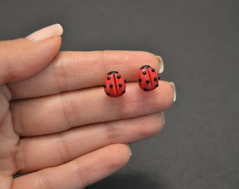 Miraculous ladybug | Etsy