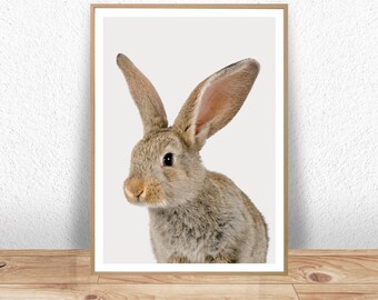 Bunny poster | Etsy