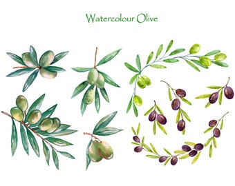 Olive leaf clipart | Etsy