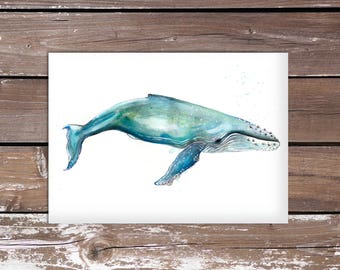 Walvis tekening | Etsy