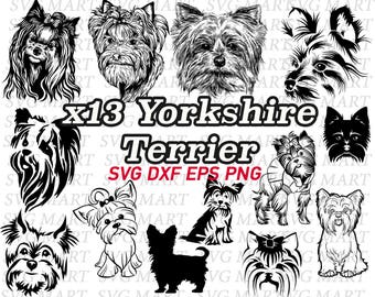 Yorkshire terrier | Etsy
