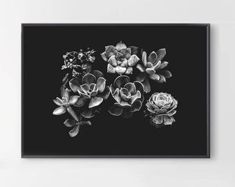 Coastal style prints | Etsy