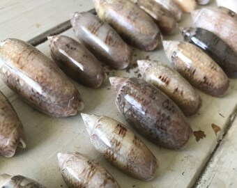 Lettered olive | Etsy