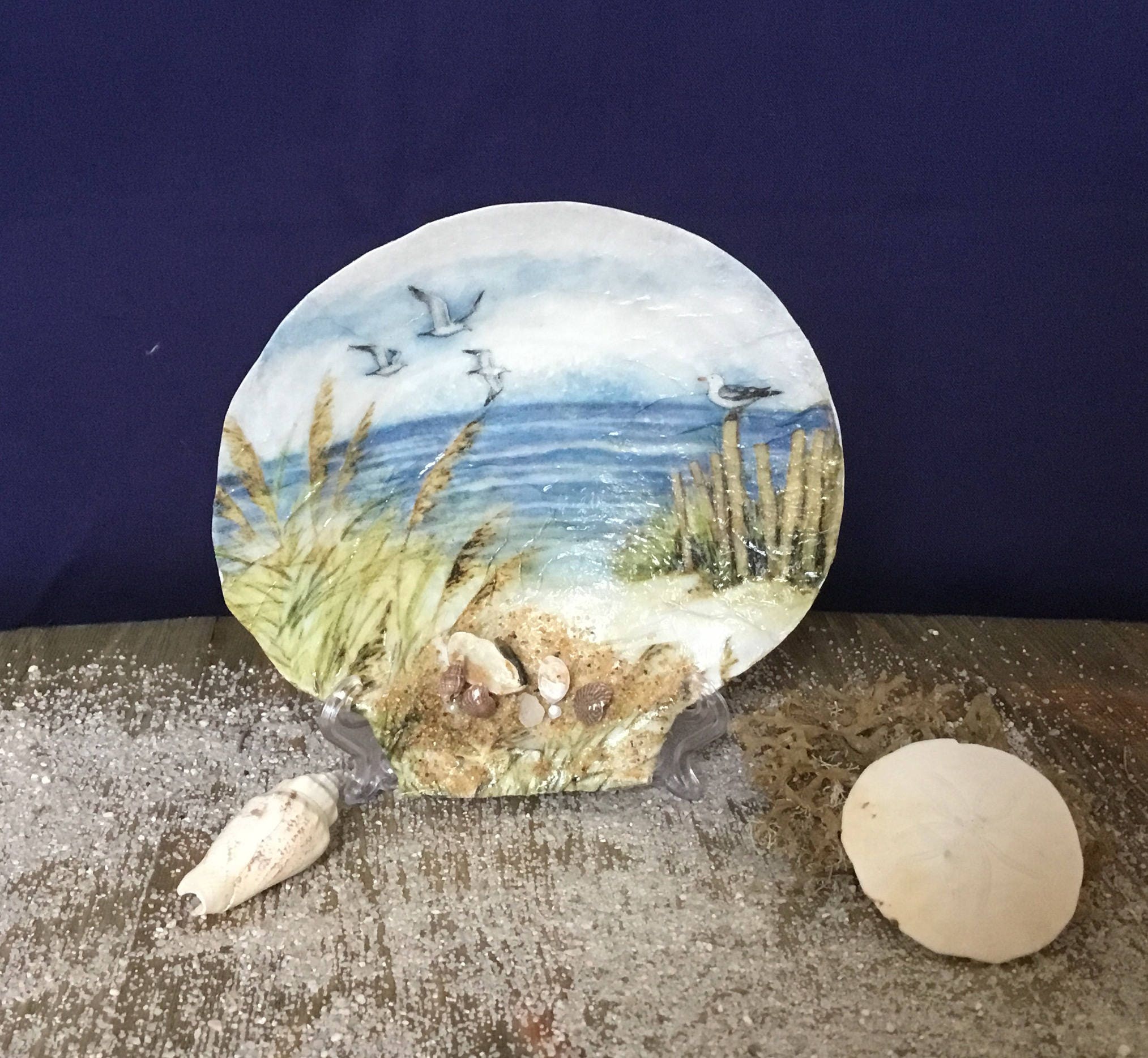 Cape Cod Beach Scene Scallop Shell New England Beaches