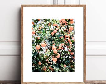 Citrus print | Etsy