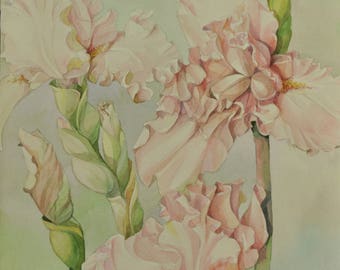 Dutch Floral Still Life Botanical Print Giclee Art Print