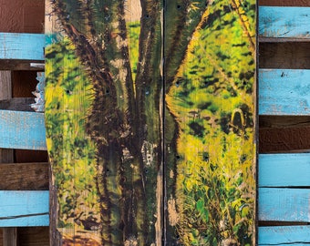 Saguaro Cactus in the Sonoran Desert at Sunset Photograph