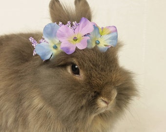 Pet rabbit clothing | Etsy