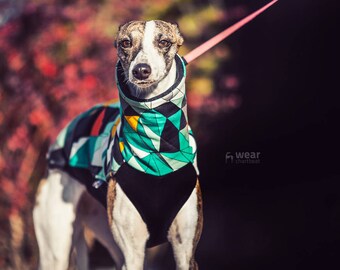 Whippet clothing | Etsy