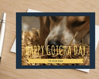 Happy gotcha day | Etsy