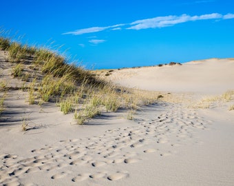 Iconic Cape Cod Photographic Poster Print Signed by