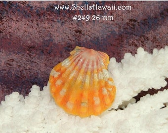 Hawaiian Heirloom jewelry. Made with aloha...by by ShellsHawaii
