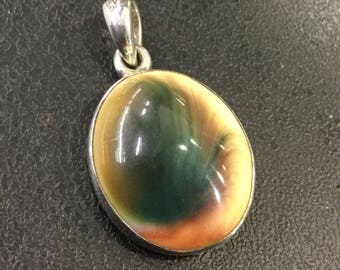 Operculum jewelry | Etsy