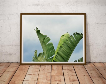 Banana leaf poster | Etsy