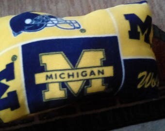 Michigan pillow | Etsy
