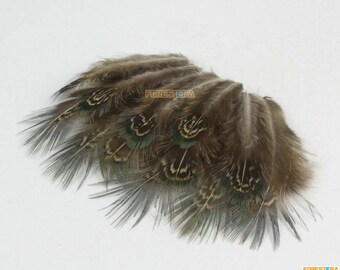 Brown feathers | Etsy