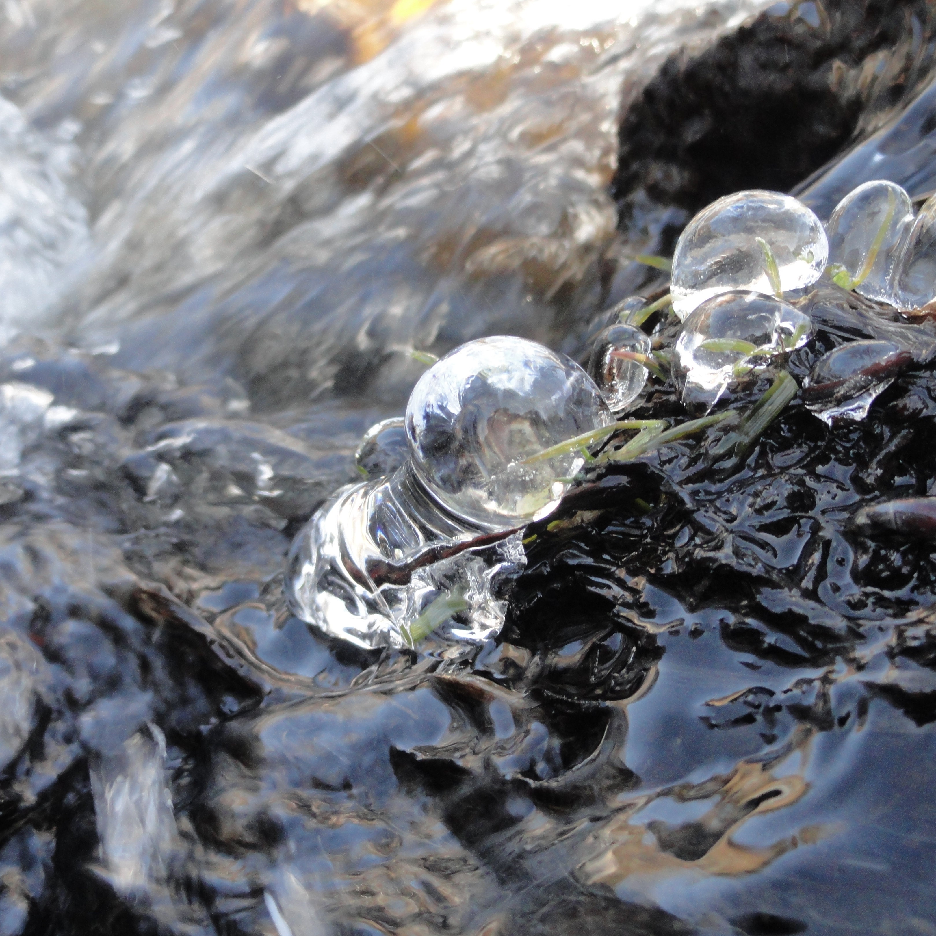 Hand Made Custom River Rock Hardware by RiverStoneKnobs on Etsy