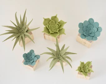 Felt succulents | Etsy