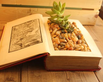 Book planter | Etsy