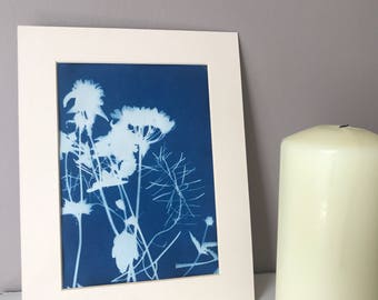 Cyanotype print | Etsy