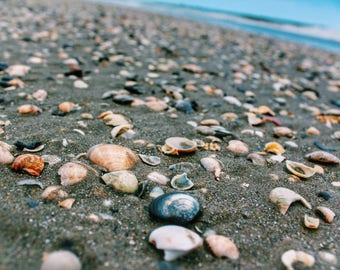 Okinawa japan okinawa photography okinawa shells okinawa
