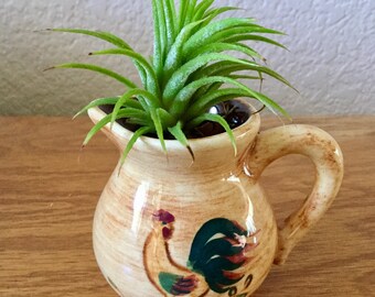 Rooster planter | Etsy