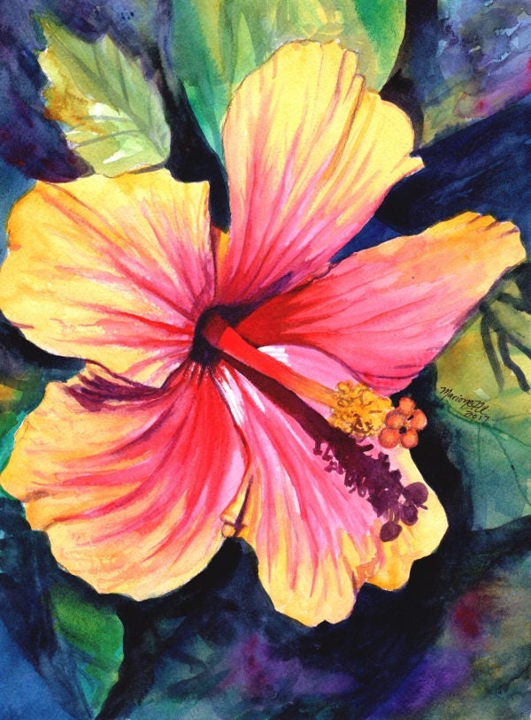 Hawaiian Flower Paintings