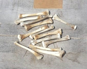 Throwing bones | Etsy