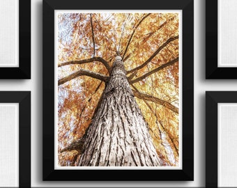 Tree wall decals | Etsy