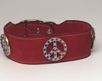 Concho dog collar | Etsy