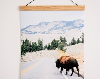 Buffalo poster Buffalo print Buffalo art Yellowstone