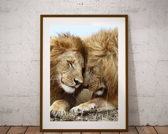 Lion print | Etsy