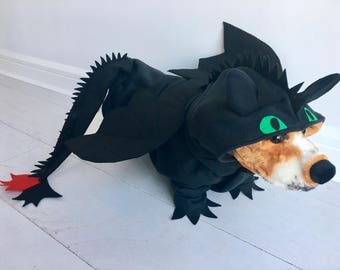 Toothless costume | Etsy