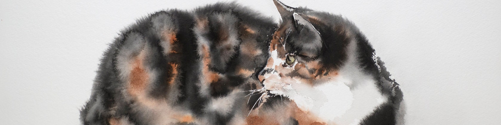 Original watercolor paintings of cats and landscapes by bodorka