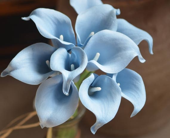 10 Pale Blue Calla Lilies Real Touch Flowers DIY Silk Wedding