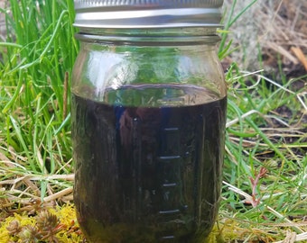 Elderberry Syrup Kit / Herbal Medicine Remedies / Immune