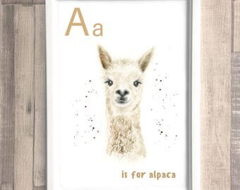 Classroom decoration | Etsy